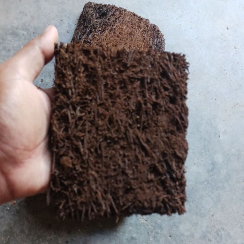 fern slab fern board | Shopee Malaysia