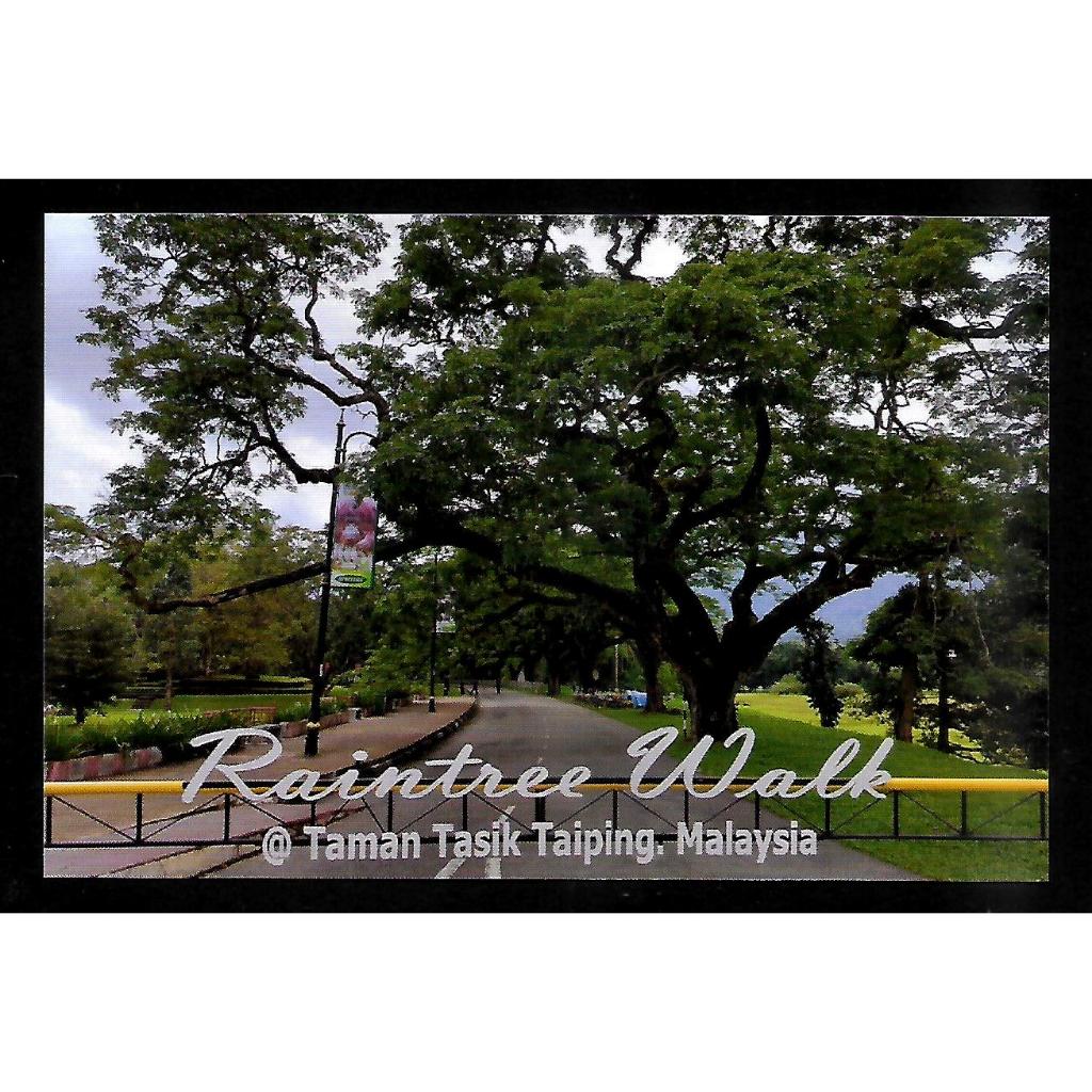 Malaysia Postcard - Raintree Walk @ Taman Tasik Taiping | Shopee Malaysia