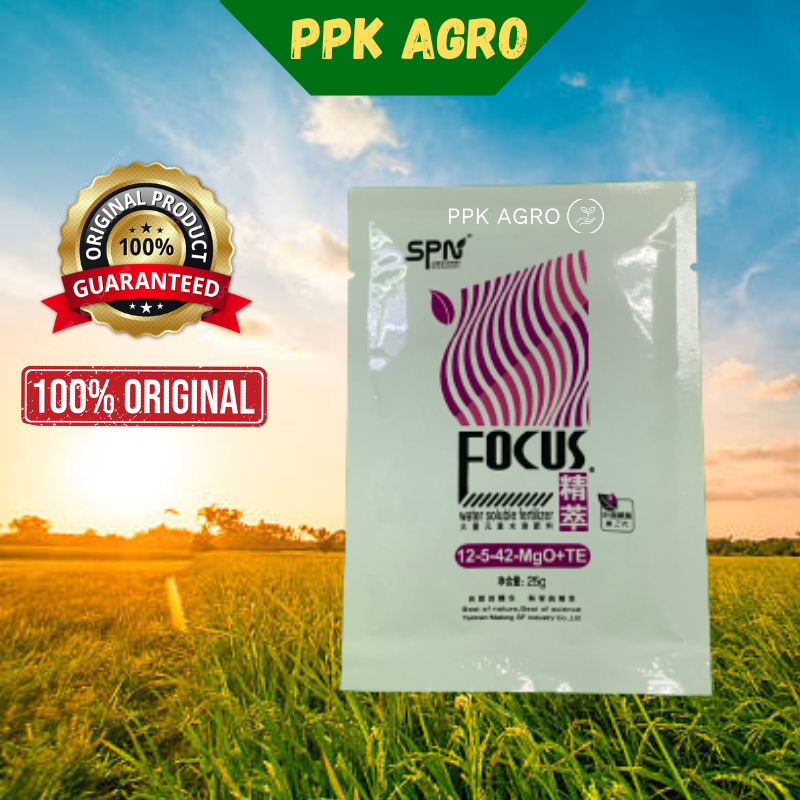 25gram Baja Focus 12-5-42-MgO+TE High K NPK / Water Soluble Fertilizer ...