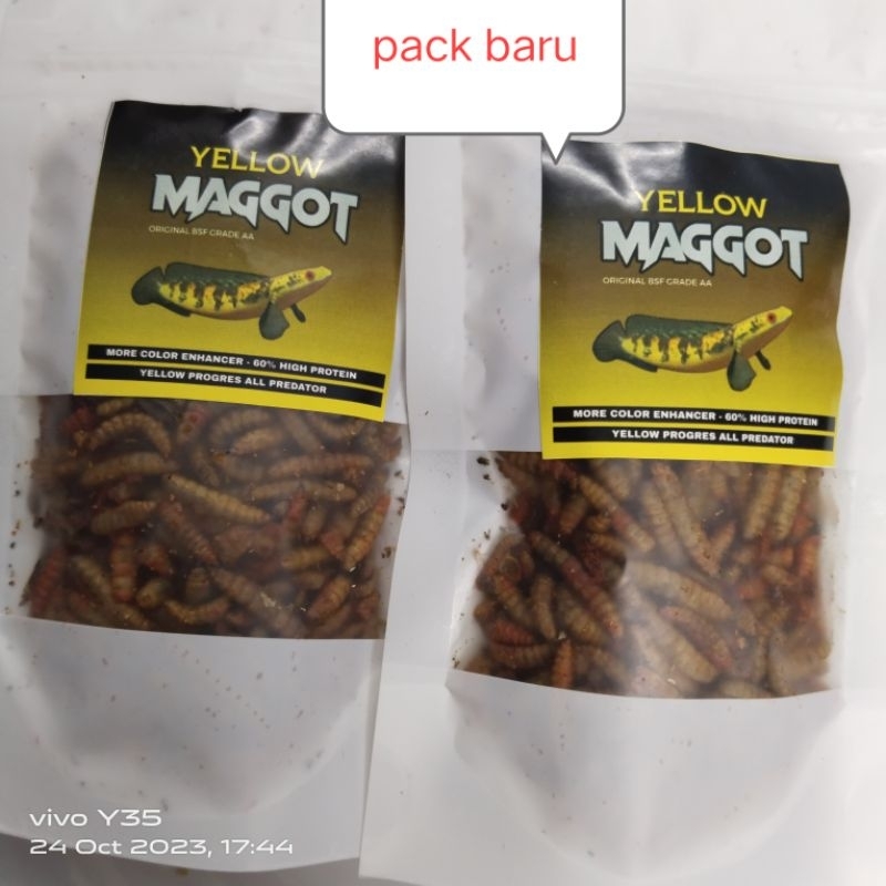 YELLOW MAGGOT GFS 20G | Shopee Malaysia