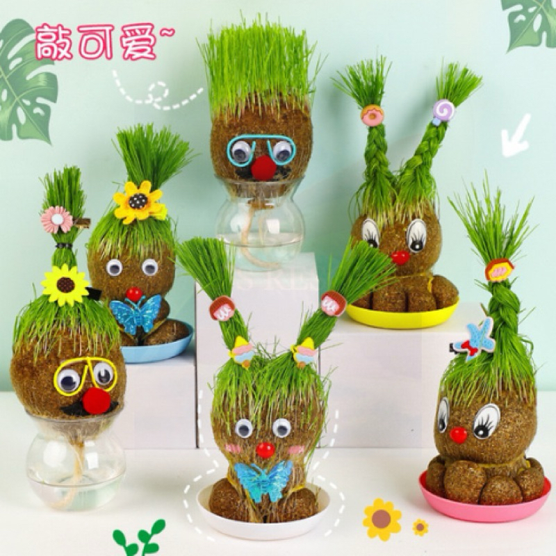 草头娃娃植物创意 DIY Grass Head Toy Planting for kids Craft Gift Tanaman pokok ...