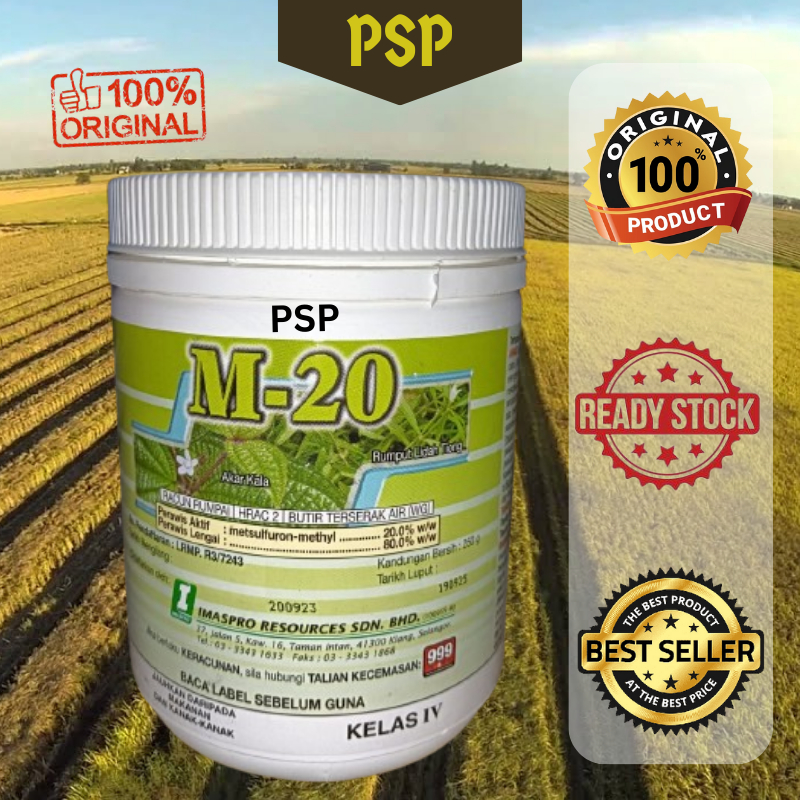 250g M-20 Imaspro Ally/ Paku Pakis RACUN RUMPAI Anak Pokok ANAK KAYU ...