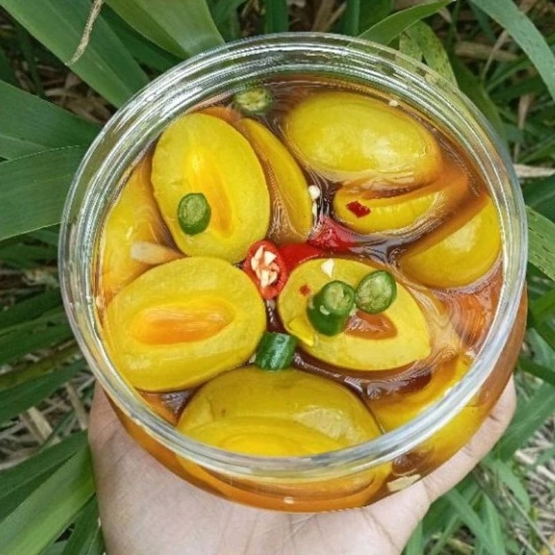 Jeruk buah kundang/star muda nise | Shopee Malaysia