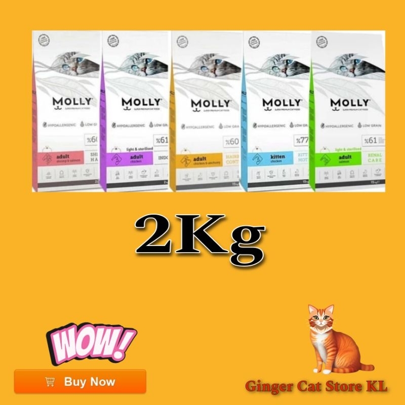Molly Super Premium Cat Food (Kitten Mother/Indoor/Renal Care/Shiny ...