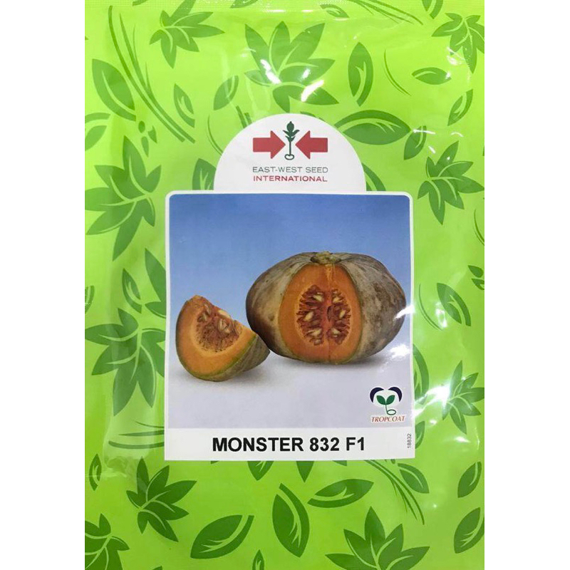 100g Labu MONSTER 832 F1 Biji Benih Labu Madu Manis Cap Panah Merah ...