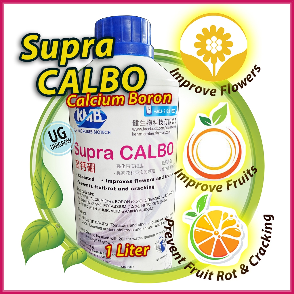 (1 Liter) Supra Calbo Chelated Calcium Boron Lekat Bunga Buah Kurang ...