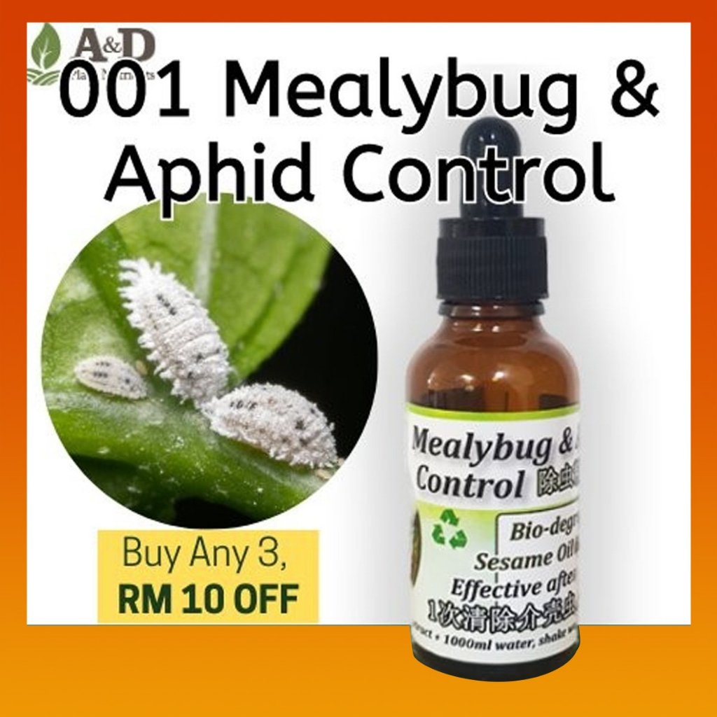 🚫 001 Mealybug & Aphid Pest Control 🚫 Organic Plant Insect Repellent ...