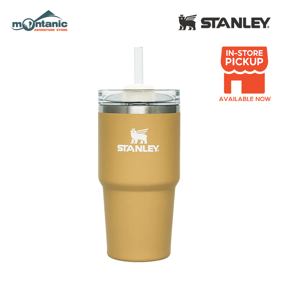 Stanley Adventure Quencher 2.0 Straw Tumbler - 20oz Thermal Flask ...