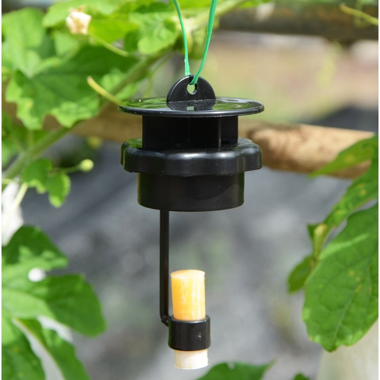 Fruit Fly Trap Attractant Cover / Penutup Botol Perangkap Lalat Buah ...