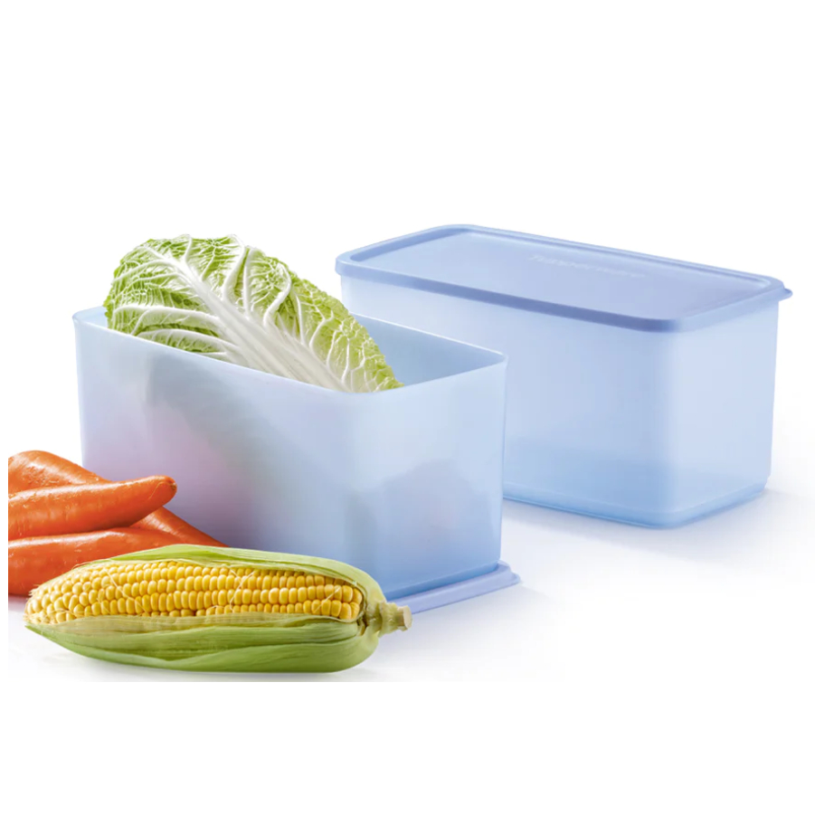 [READY STOCK] Tupperware Double So Fresh Rectangular 3.1L / 1.4L ...