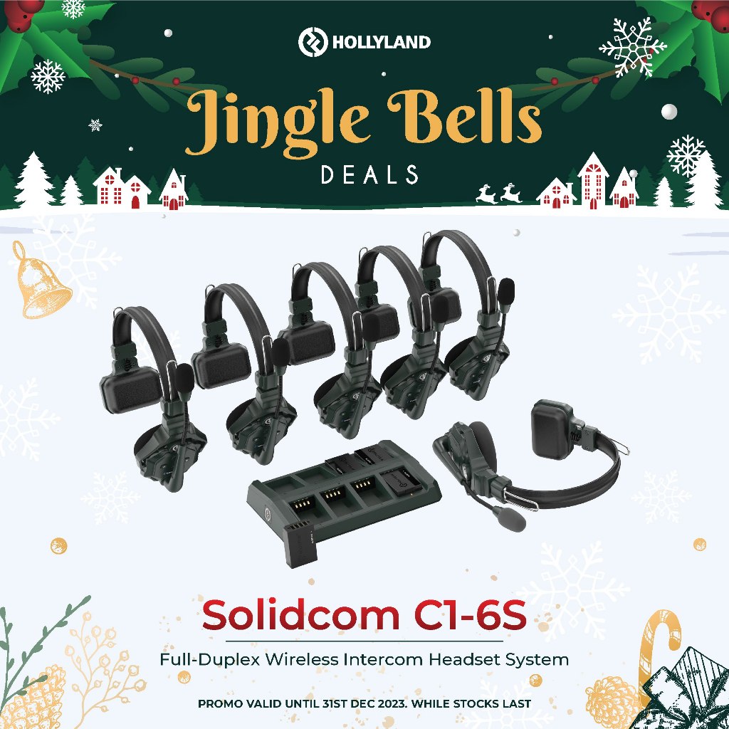 HOLLYLAND Solidcom C1-6S Full-Duplex Wireless DECT Intercom System with ...