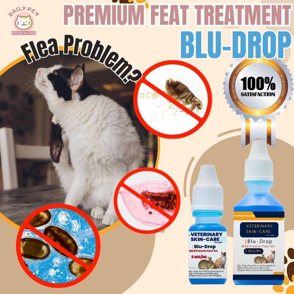 Blue Ubat Kutu Kucing Ubat Kutu Kucing Paling Berkesan Earmited Drop ...