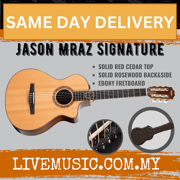 Taylor Jason Mraz Signature Grand Concert Nylon String Acoustic Guitar ...