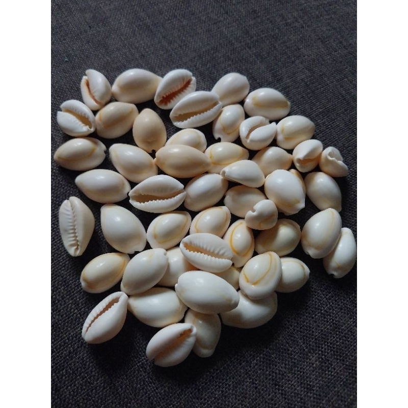50 pcs Burie / kuyung/ siput 【 TIADA LUBANG 】 | Shopee Malaysia