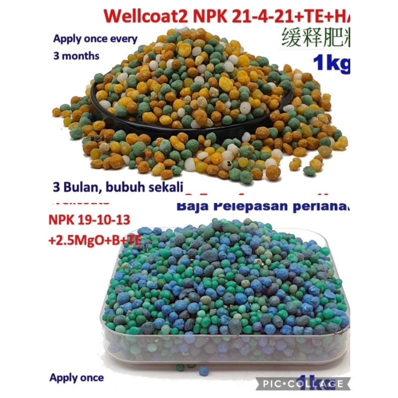 (REPACK)MULTICOTE SLOW RELEASE FERTILIZER ASSORTED | Shopee Malaysia
