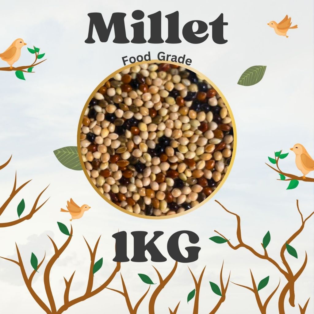 Makanan Burung 1KG Bird Food Mix Millet Parrot Food Makanan Burung Baji ...