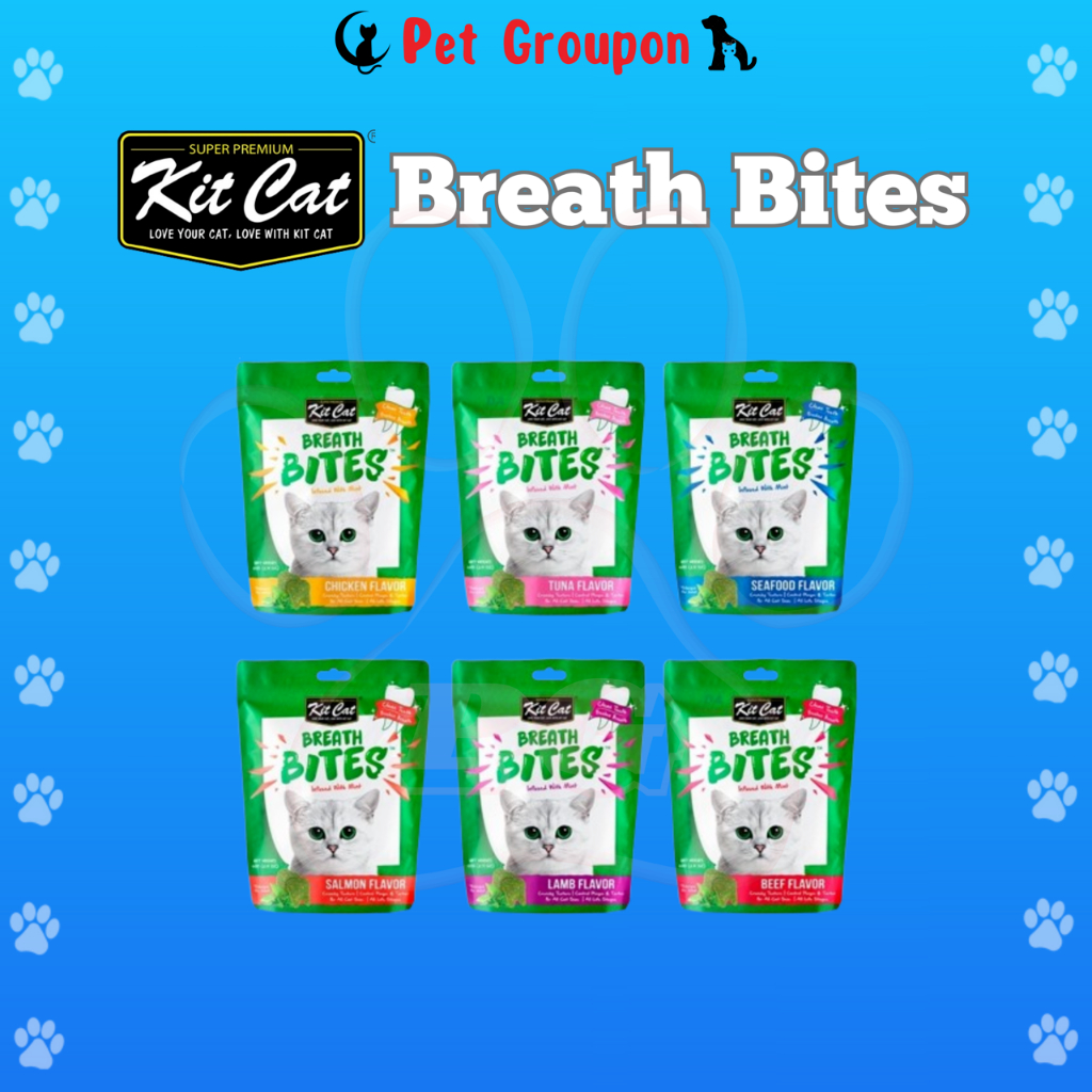 💯PG🥊 Kit Cat Breath Bites Cat Snacks 60g Cat Mint KitCat Treat Snack ...