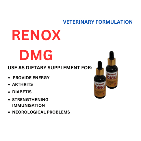 Renox DMG Liquid for Kitten Puppy Cat Dog | Veterinary Formula Immune ...