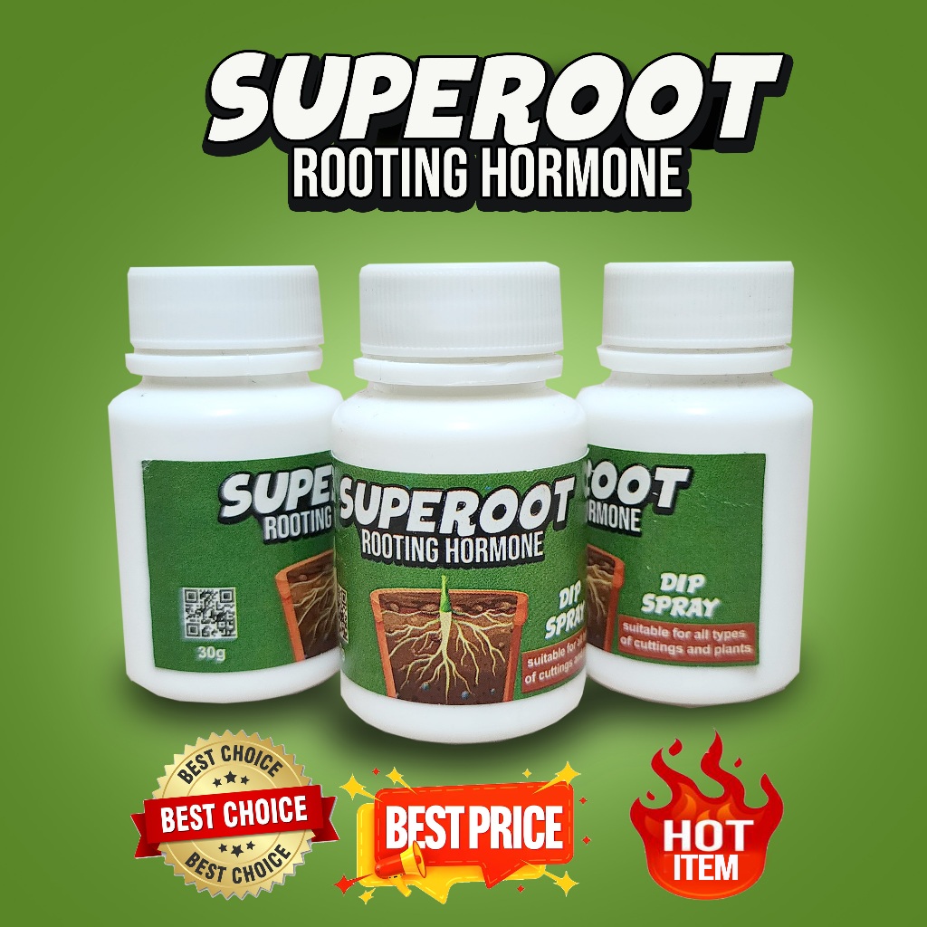 ubat akar rooting hormone root powder fast action 根粉，根激素，速效 | Shopee ...