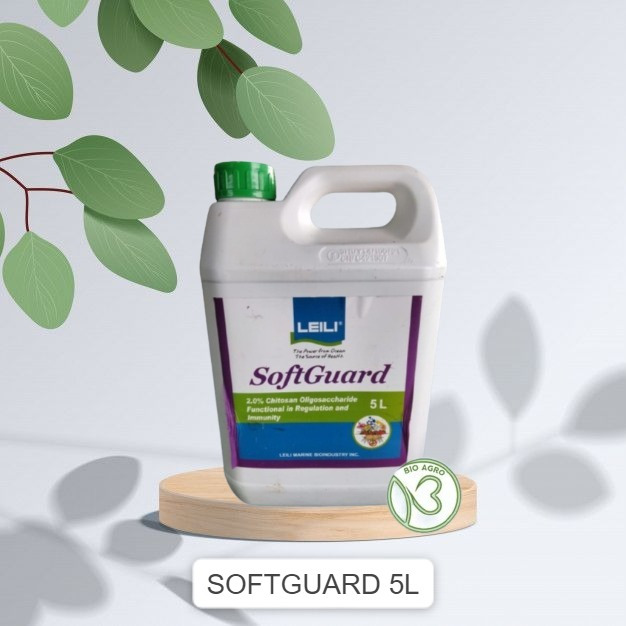LEILI SOFTGUARD 5 LITER Original baja organik Organic Kitosan ...