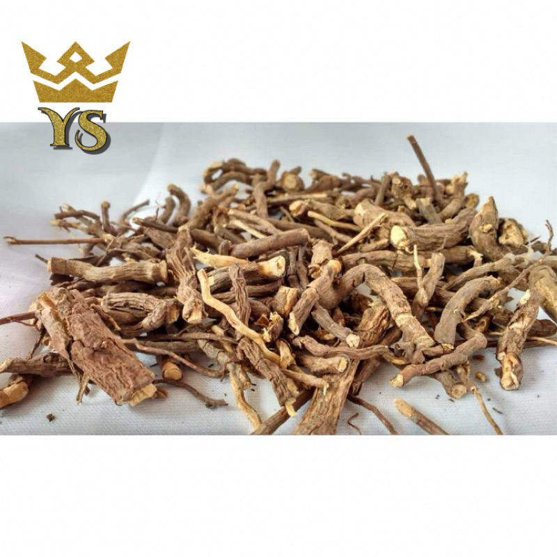 Nannari Roots| Sugandhi Veru Roots | Anantmool Roots | Indian ...