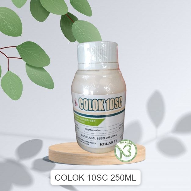 Colok 10SC (250ml) / Rumput Colok Cina/rusinga telur ikan/rumput padi ...