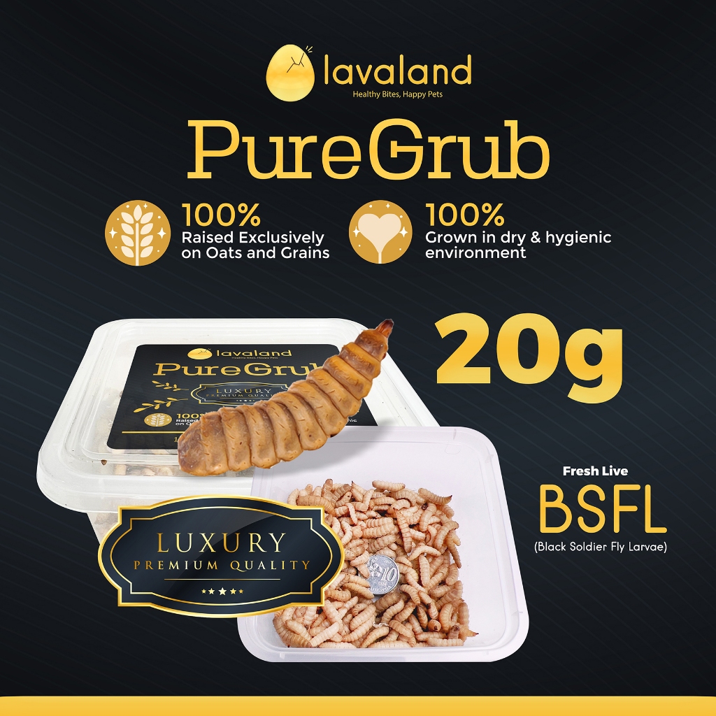 Lavaland - PureGrub - 20g Black Soldier Fly Larvae ( BSFL ) | Feeding ...