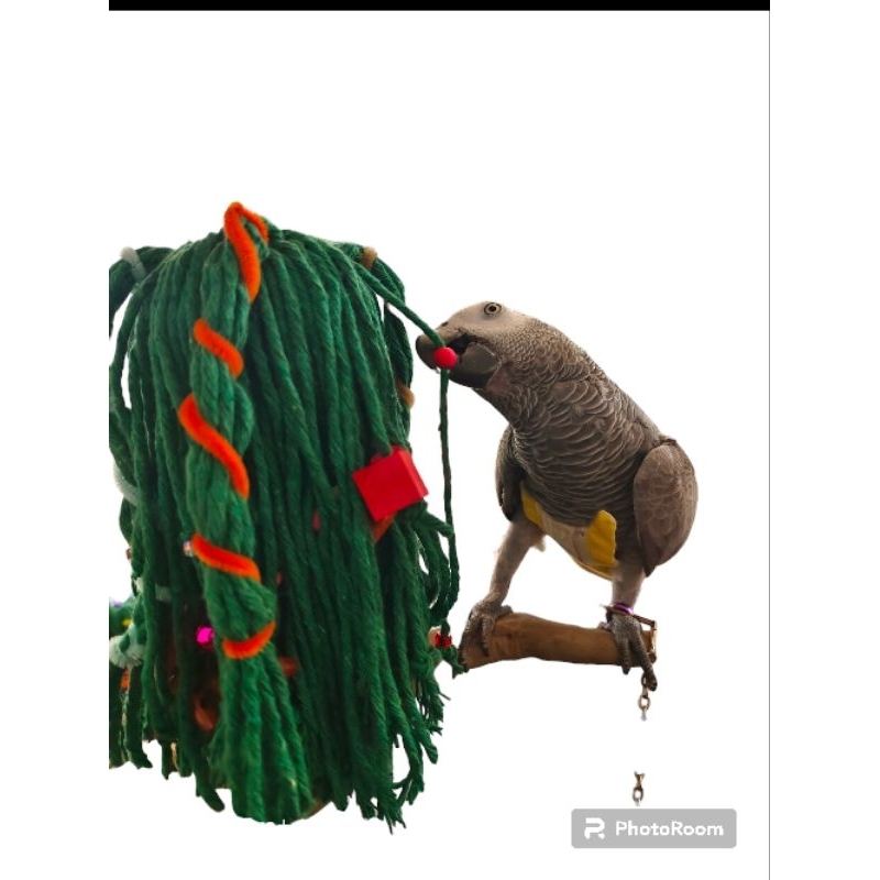 parrot toys (rasta hair) | Shopee Malaysia