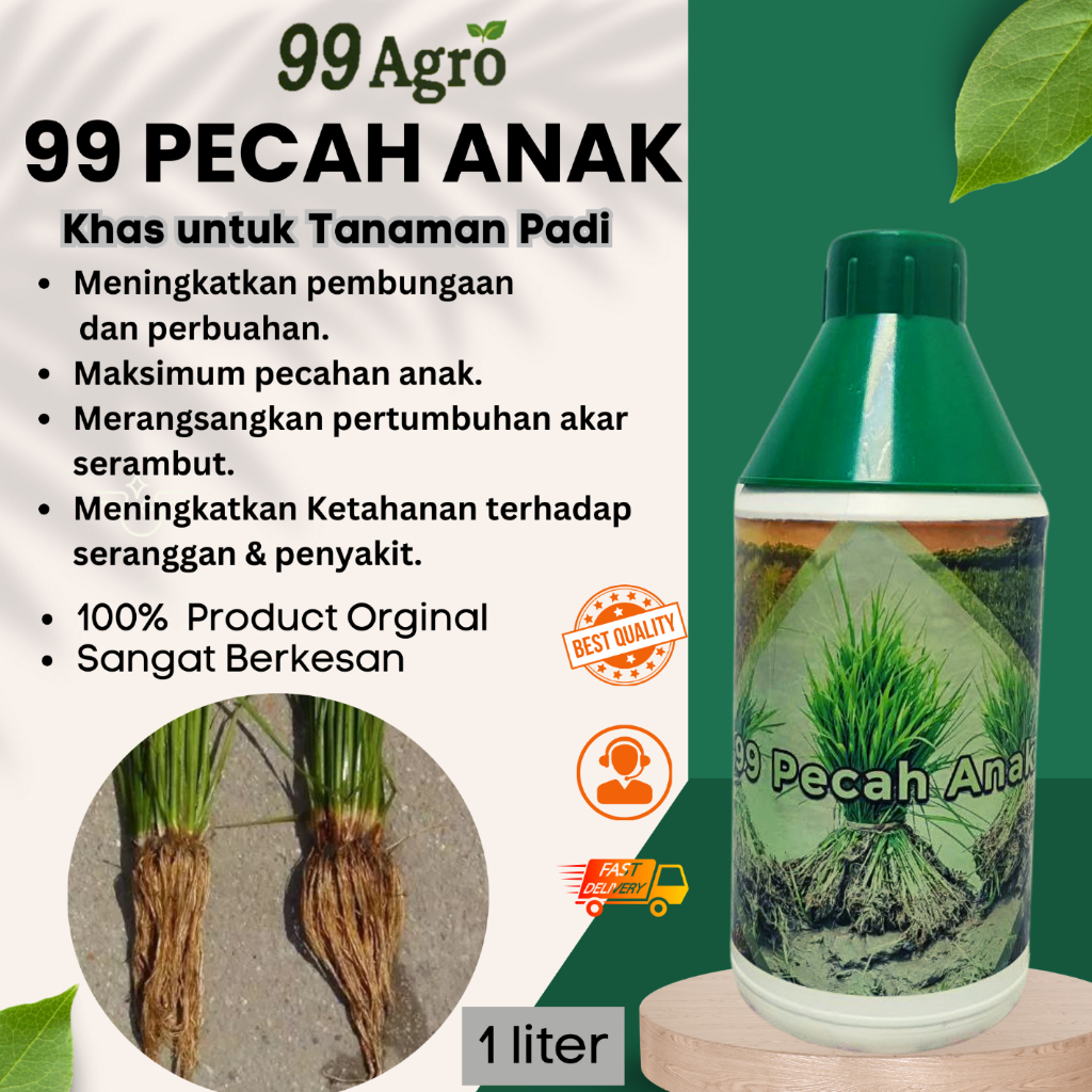 99 Pecah Anak Baja Pecah Anak Baja Padi Baja Vitamin Padi Banyak Anak ...