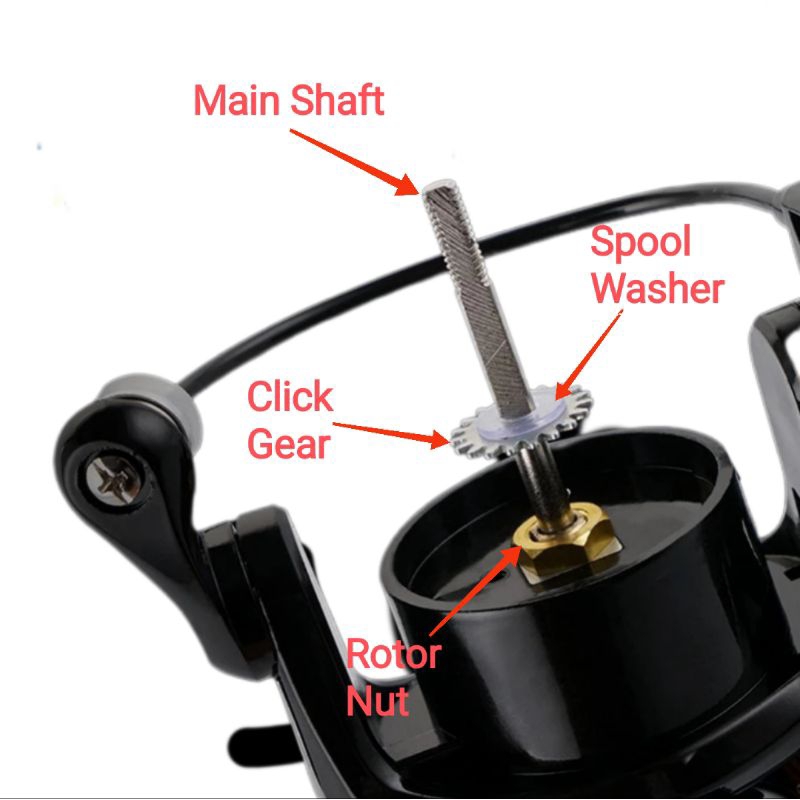 Spinning Reel Spare Part (Gear Clicker/Spool Washer/Rotor Nut/Main ...