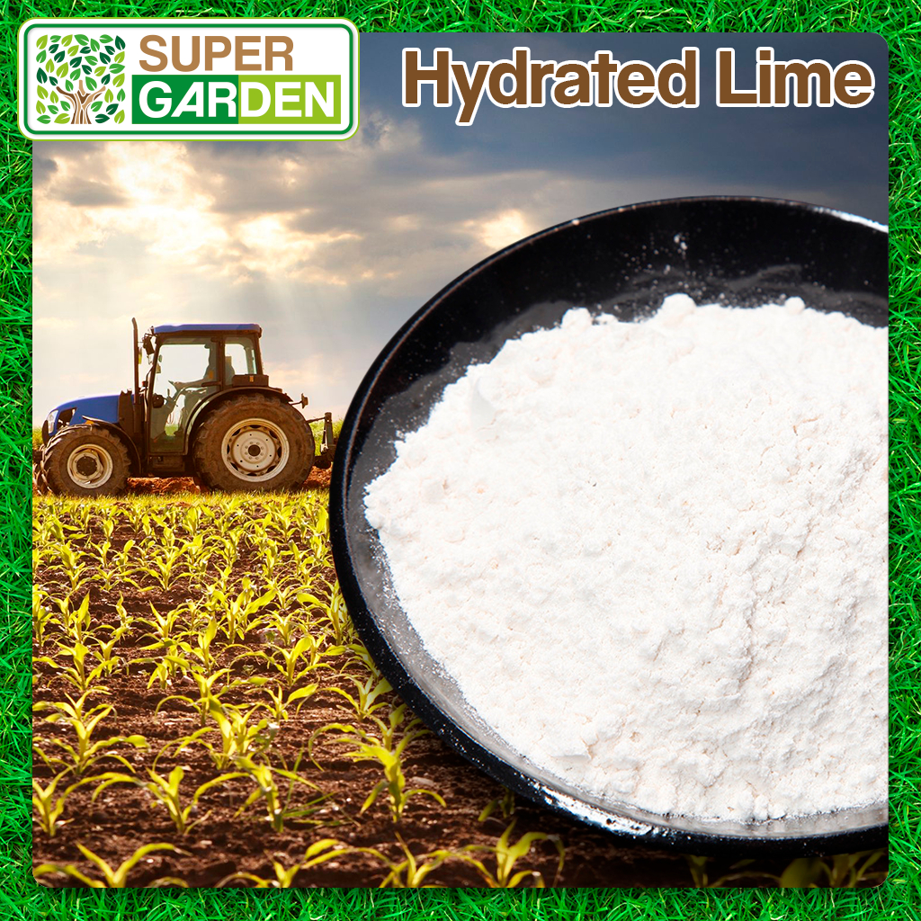 Serbuk Kalsium Hydrated Lime and Calcium Hydroxide 1KG Kapur Pertanian ...