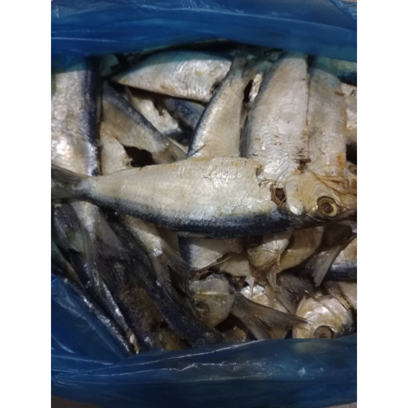 Tamban masin 500g salted tamban fish 500gram | Shopee Malaysia