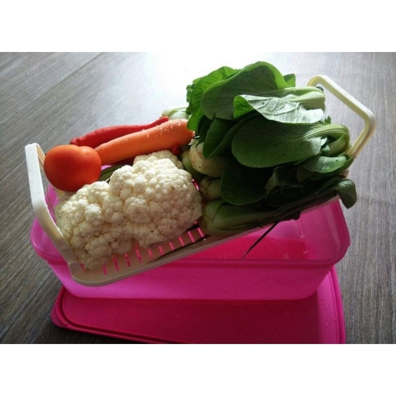 Tupperware Cool Crisper 6L (1 pc) | Shopee Malaysia