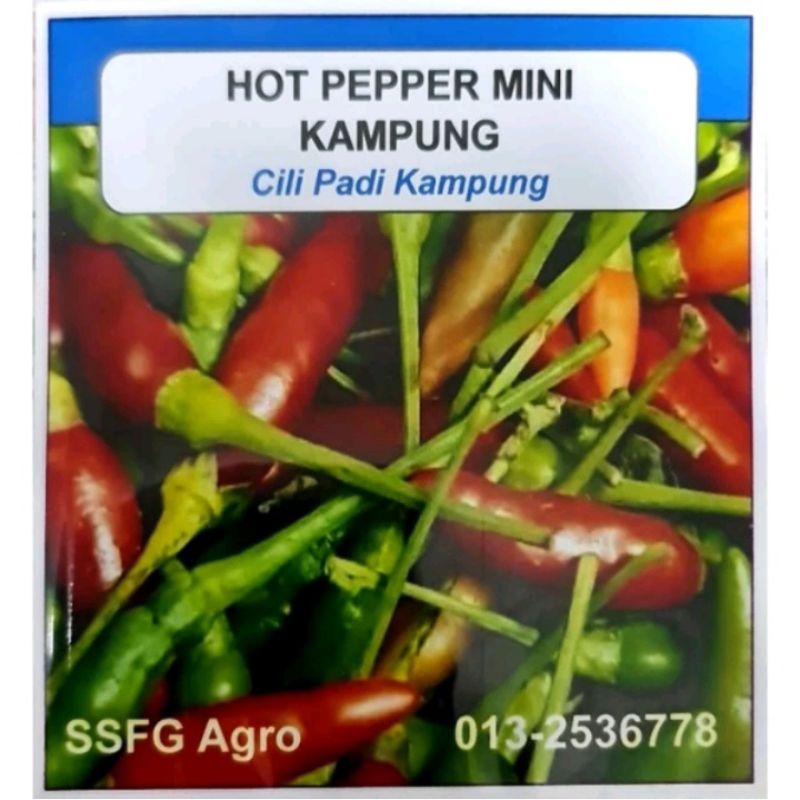 CILI PADI KAMPUNG @ CILI API | Shopee Malaysia