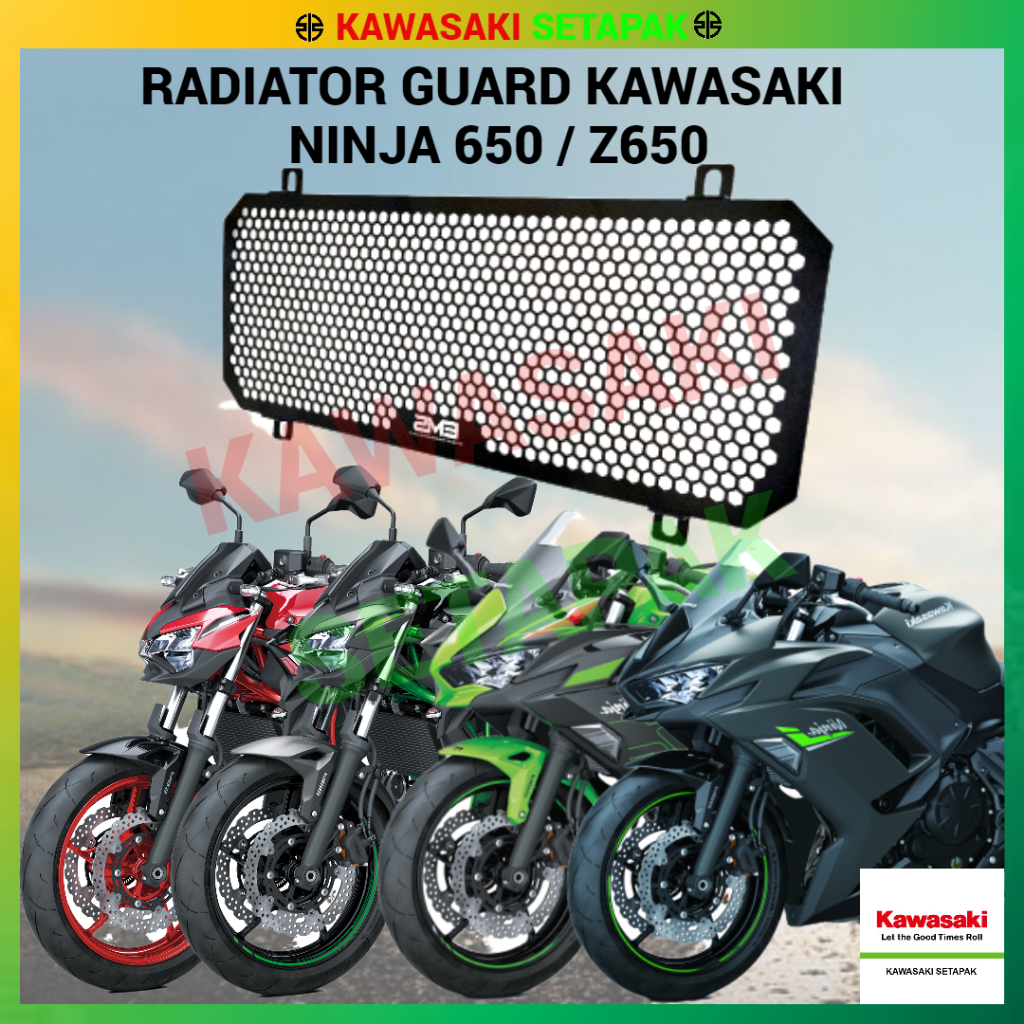 RADIATOR GUARD EMS KAWASAKI NINJA 650 / Z650 / Z650RS (2023-2025 ...