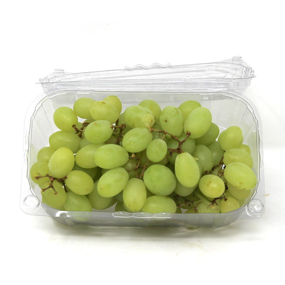 Grape, Fresh SA GREEN Seedless Grapes 500g± | Shopee Malaysia