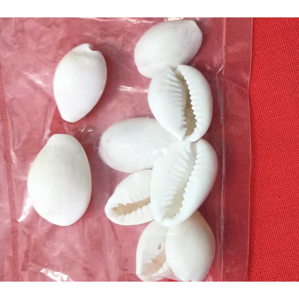 MAHALAKSHMI CHOWI / NO.1 ORIGINAL CHOWI / FOUR SIZES / 2.5 CM TO 1.8 CM ...