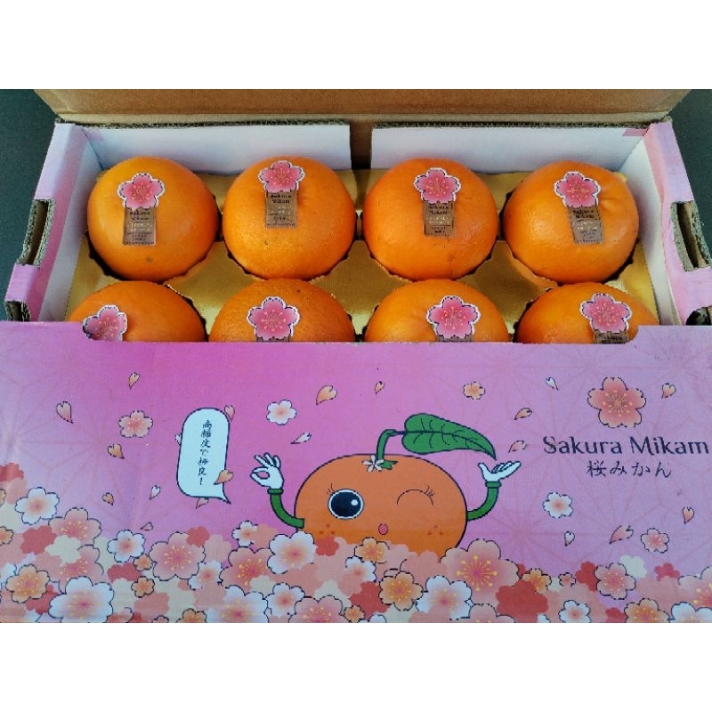 [CNY PREMIUM MIKAM] Viral TopSeller Mandarin Orange - Japan Quality ...
