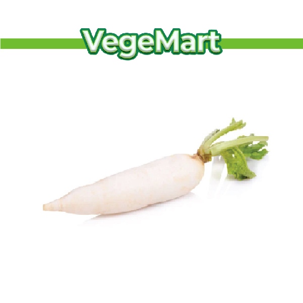 [Fresh Vege] White Radish Lobak Putih 1pcs | Shopee Malaysia