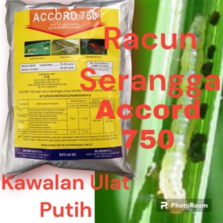 500gm/ Accord 750 / Racun Serangga / Racun Ulat / Racun Ulat Putih Padi / Racun Semua Jenis ...