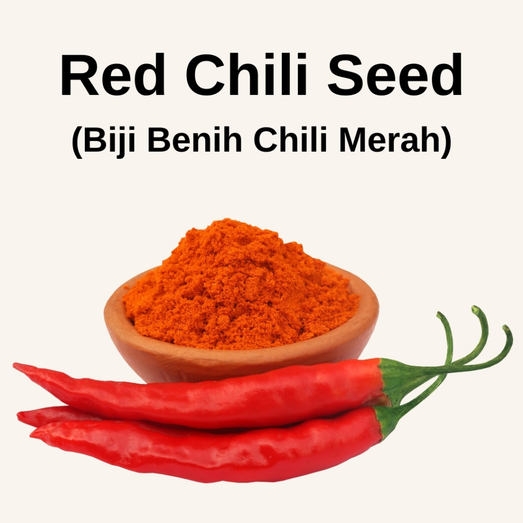 Red Chili seeds | Biji Benih Cili Merah | Hydroponic | Shopee Malaysia