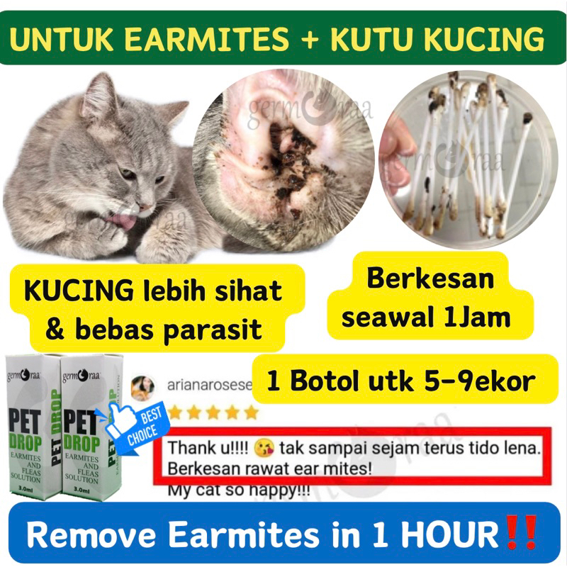 (2in1) Ubat Kutu Kucing Antifleas & Ticks Ubat Kutu Telinga Kucing ...