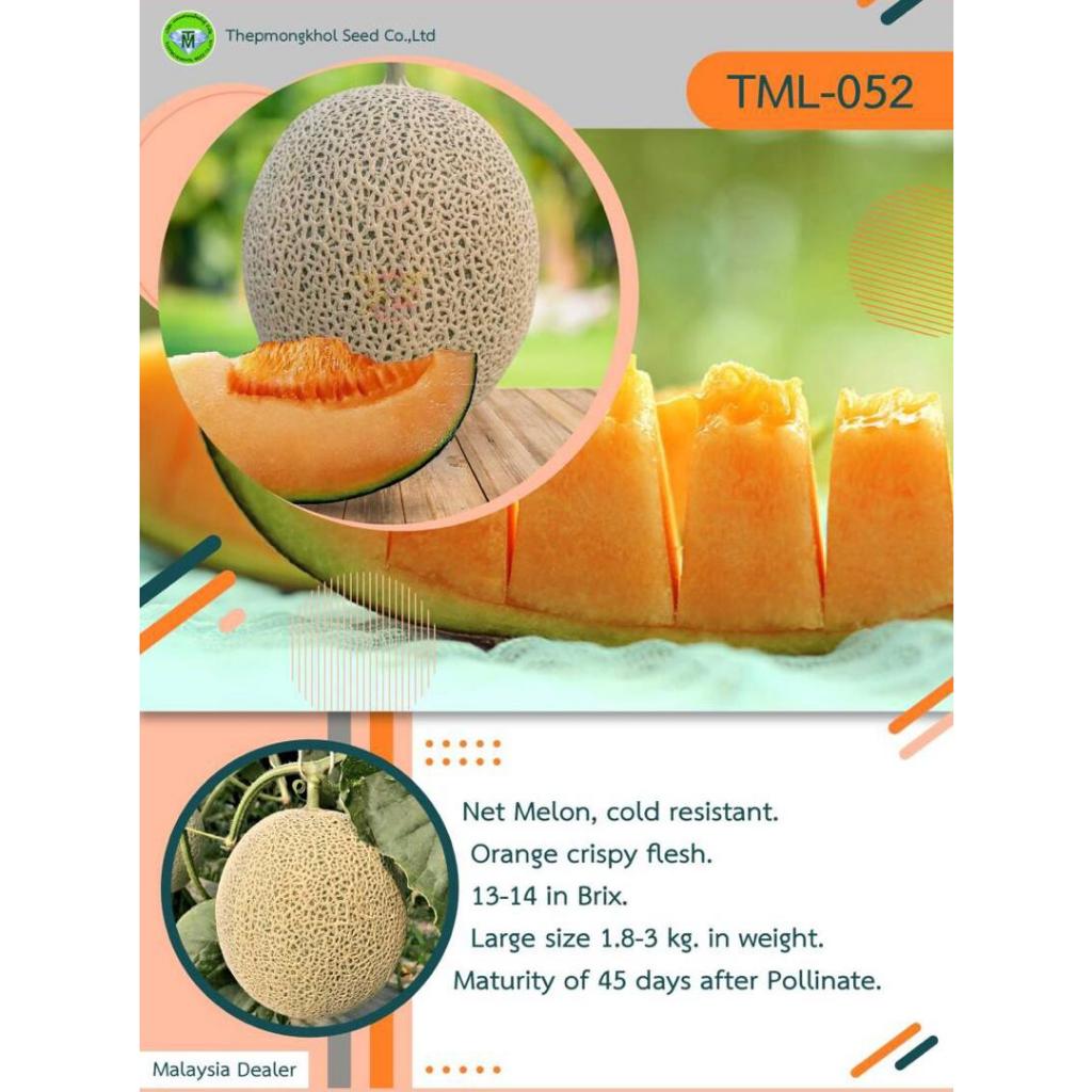 PREMIUM ROCK MELON TML-052 ( F1 HYBRID MELON SEED) | Shopee Malaysia