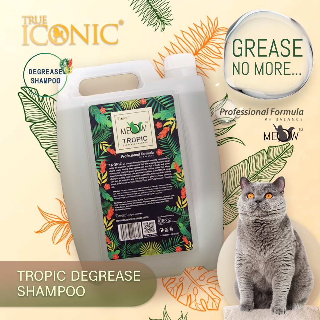 True Iconic Meow Tropic (Degrease Shampoo) 4.54L | Shopee Malaysia