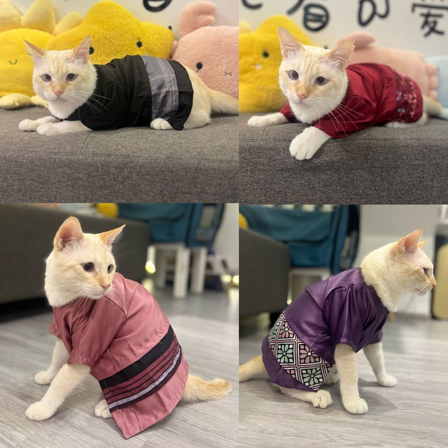 Baju Raya Haiwan untuk Kucing & Anjing – Pet RAYA Clothes for Cat Dog ...
