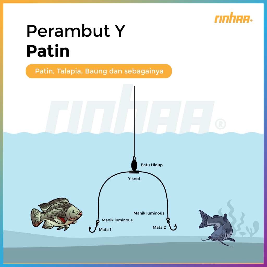 Perambut Patin, Talapia, Keli, Baung Dan Sebagainya | Shopee Malaysia