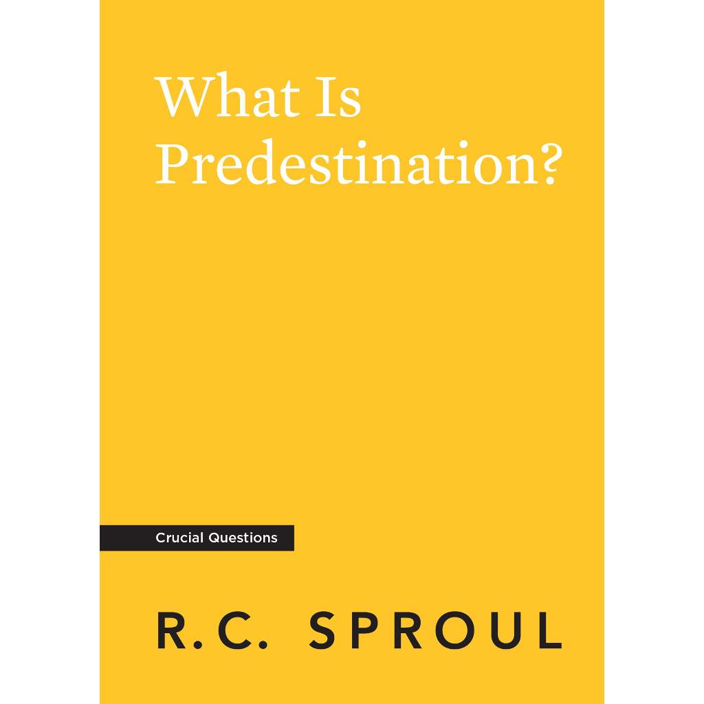 What Is Predestination? | Shopee Malaysia