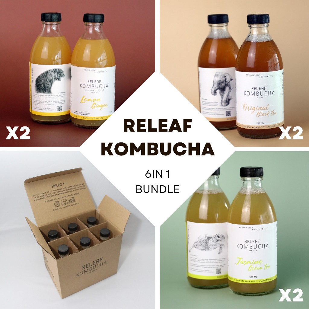 Releaf Kombucha All Flavors 6 in 1 Bundle [3 Flavors x 2 Bottles] | Shopee Malaysia