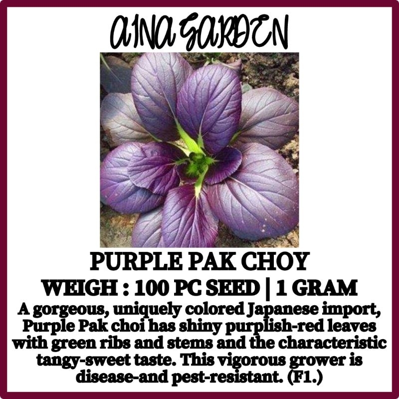 HSK [100pc] PURPLE PAK CHOY F1 JAPANESE SEED | SAWI JEPUN UNGU | BIJI ...