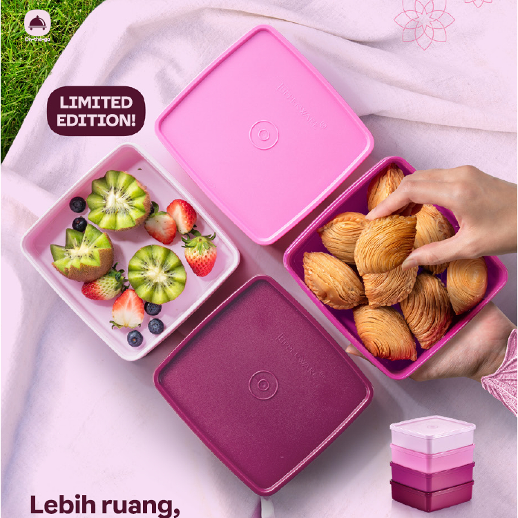 TUPPERWARE LARGE SQUARE AWAY 620ML (4PCS) | Shopee Malaysia